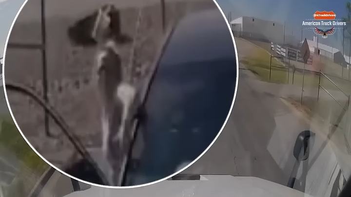 Karen blocks a trucker then throws her coffee in anger