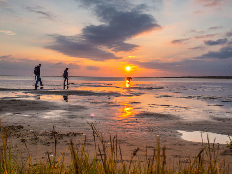 Deze winterse activiteit op Schiermonnikoog staat op de bucketlist van ...