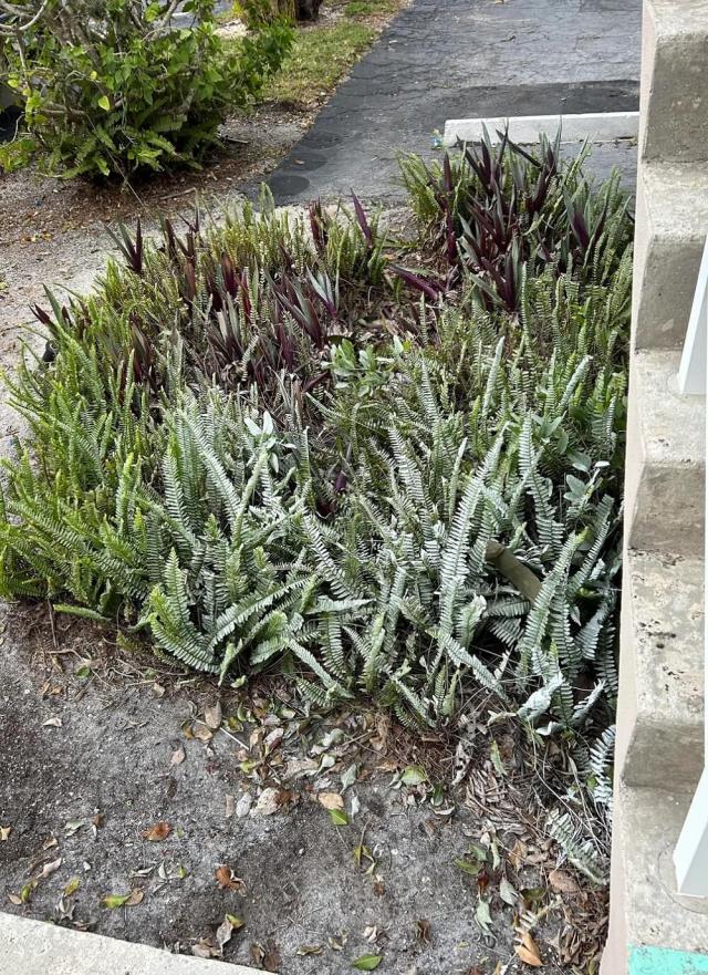 Resident sparks outrage with photos of HOA's careless project: 'They ...