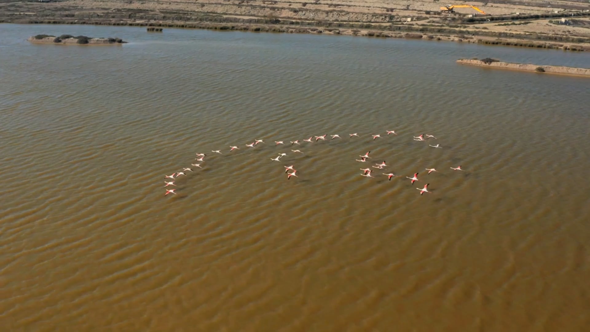 Discover Doñana: A drone's eye view on Europe’s wild wetlands - Worldwide