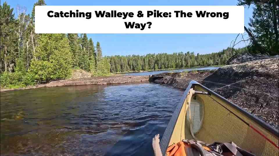 A long fishing trip pays off with walleye and pike