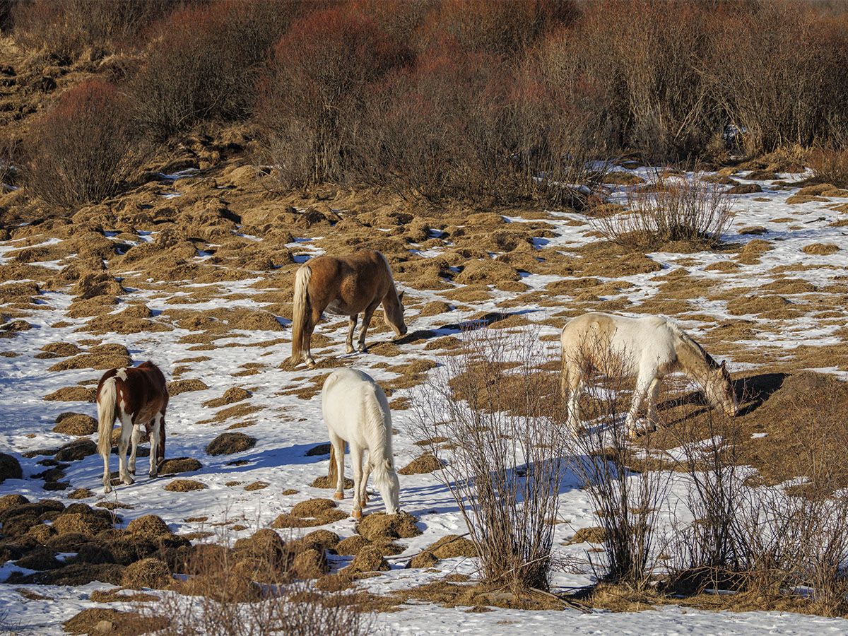 On the road: Meeting new friends — and one old