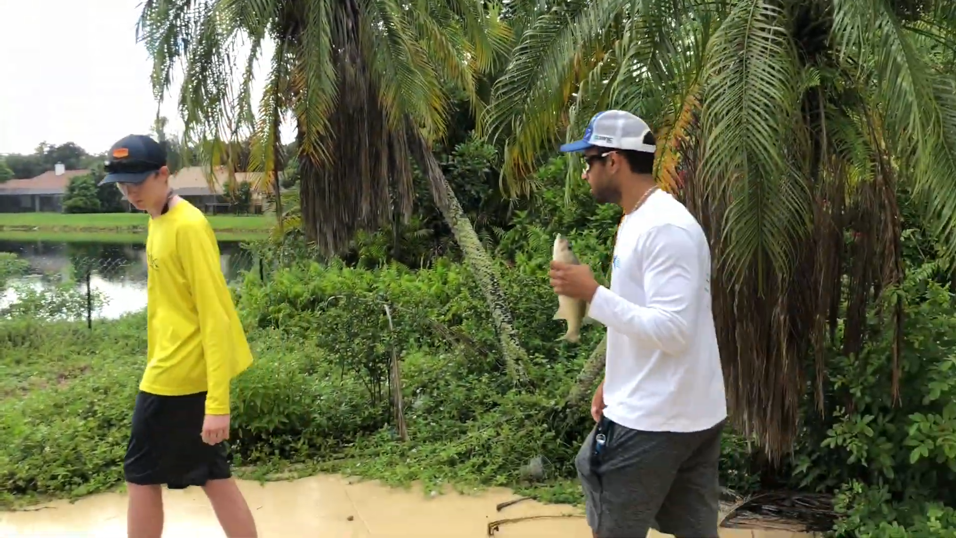 “Fish were still alive in this pool” we helped get them out