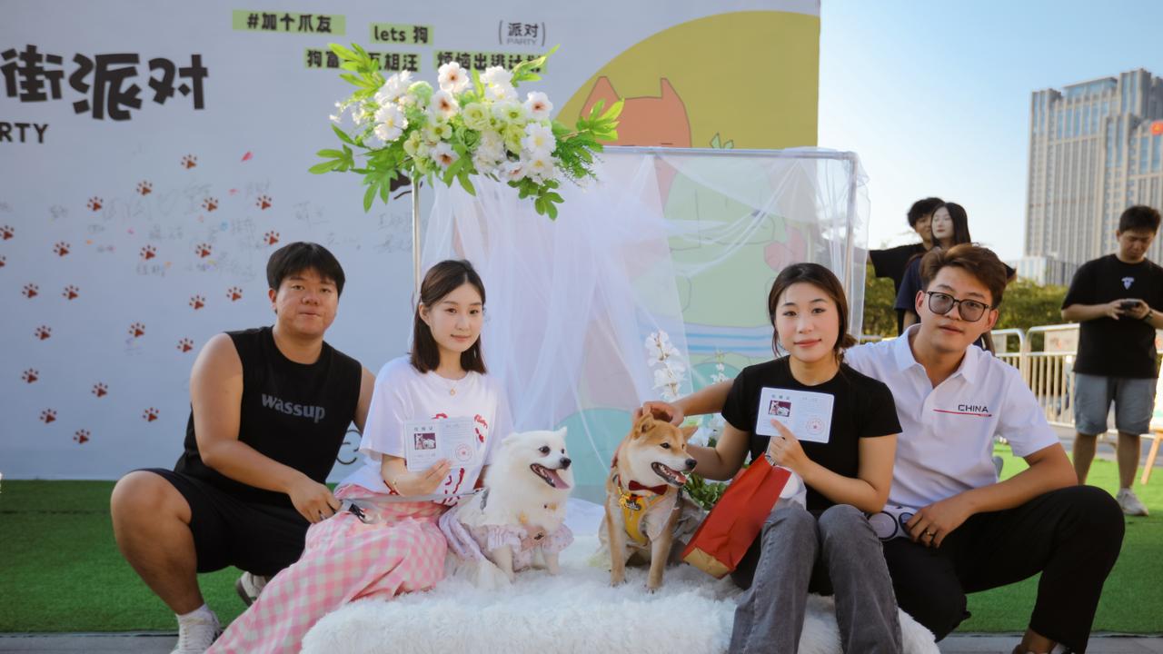 Why 'dog weddings' have become a booming industry in China