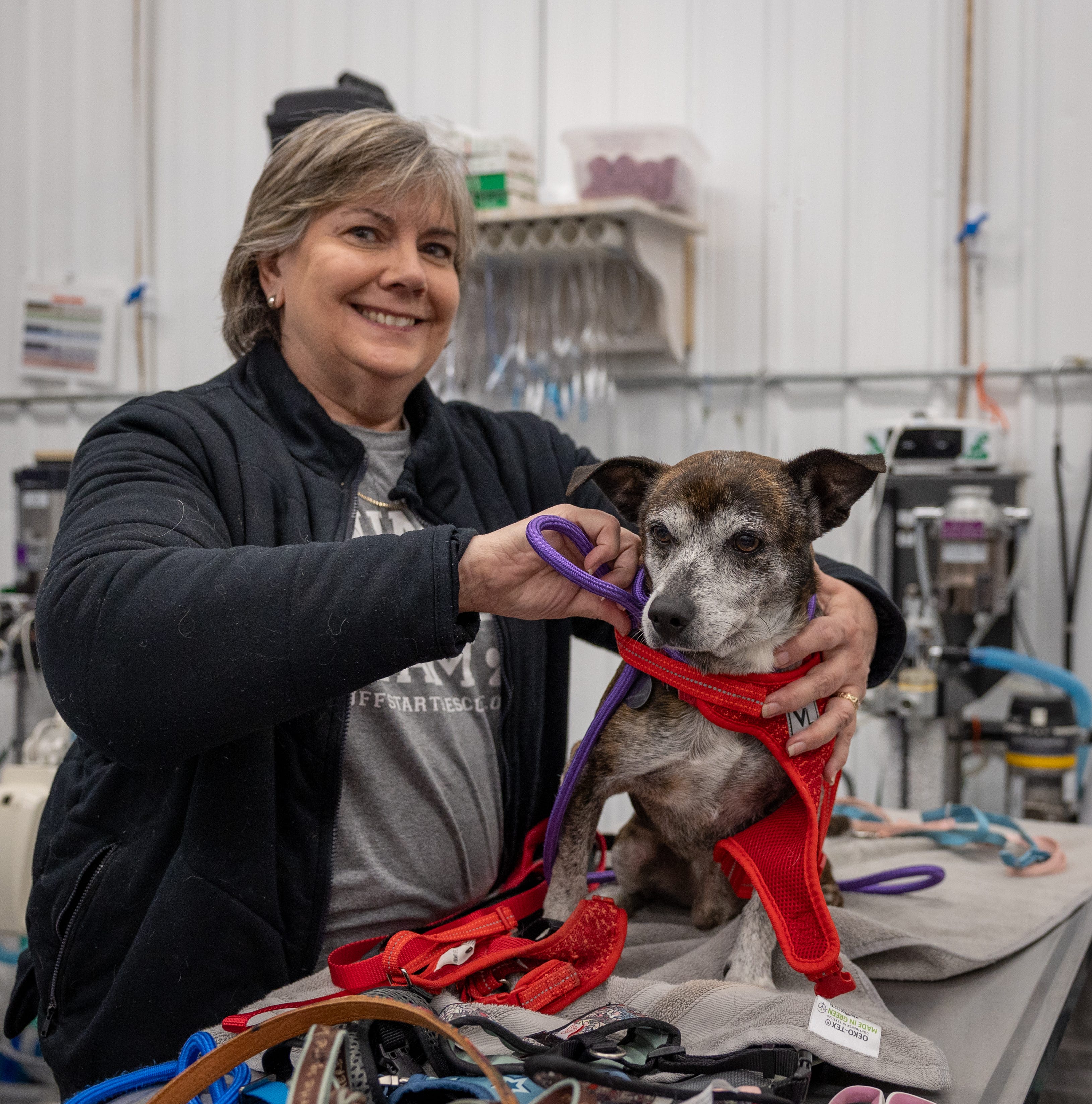 Ruff Start Rescue brings hundreds of dogs, cats from Texas