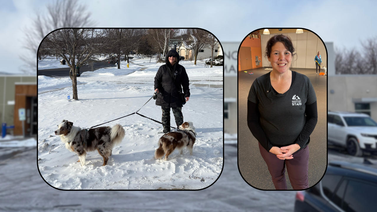 Washington County pet owners prepare for bitter cold weekend with short ...