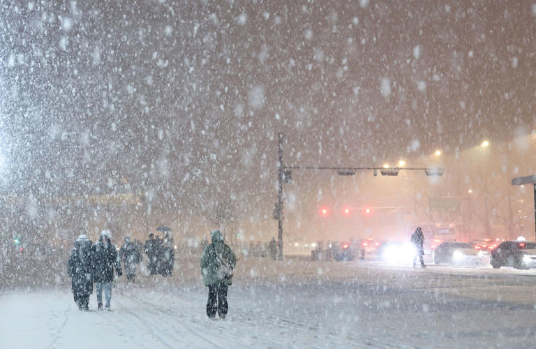 Heavy snow covers metropolitan area as cold wave persists