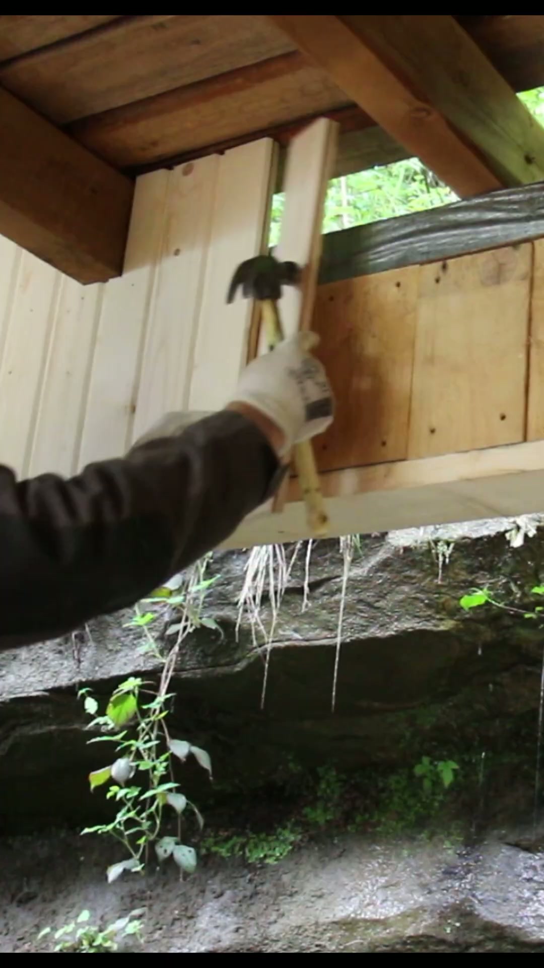 House building #building #alone #house #forest part - 14