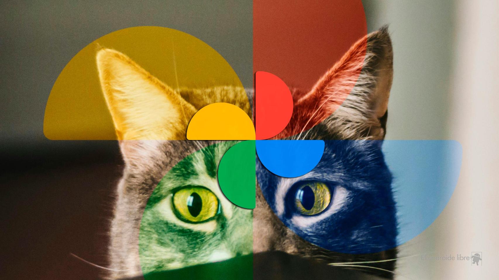 Google Fotos cambia para siempre con "Me Meme": la nueva función que ...