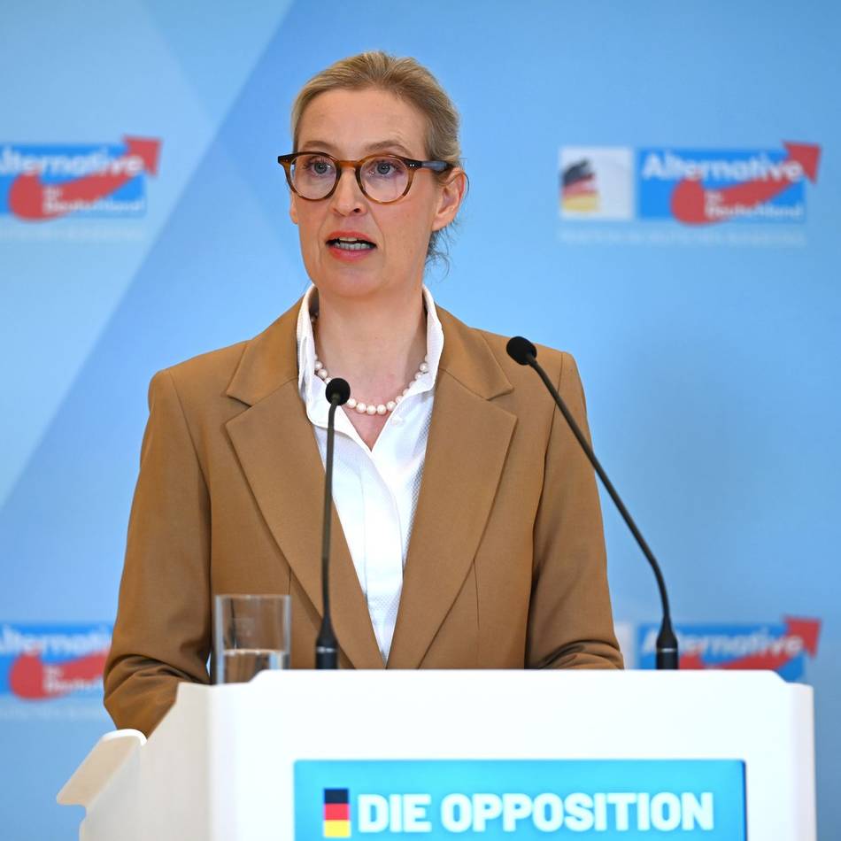 Der außenpolitische Balanceakt der AfD