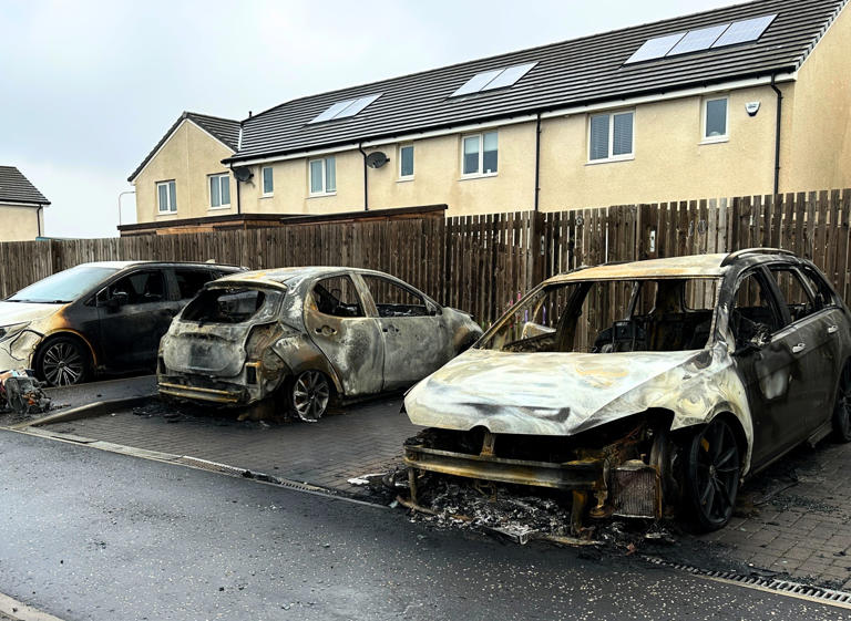 Police investigating potential 'gang feud' links after cars torched ...
