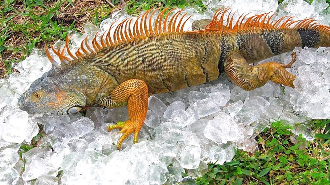 He didn’t wake up slowly – what happens when life turns back on