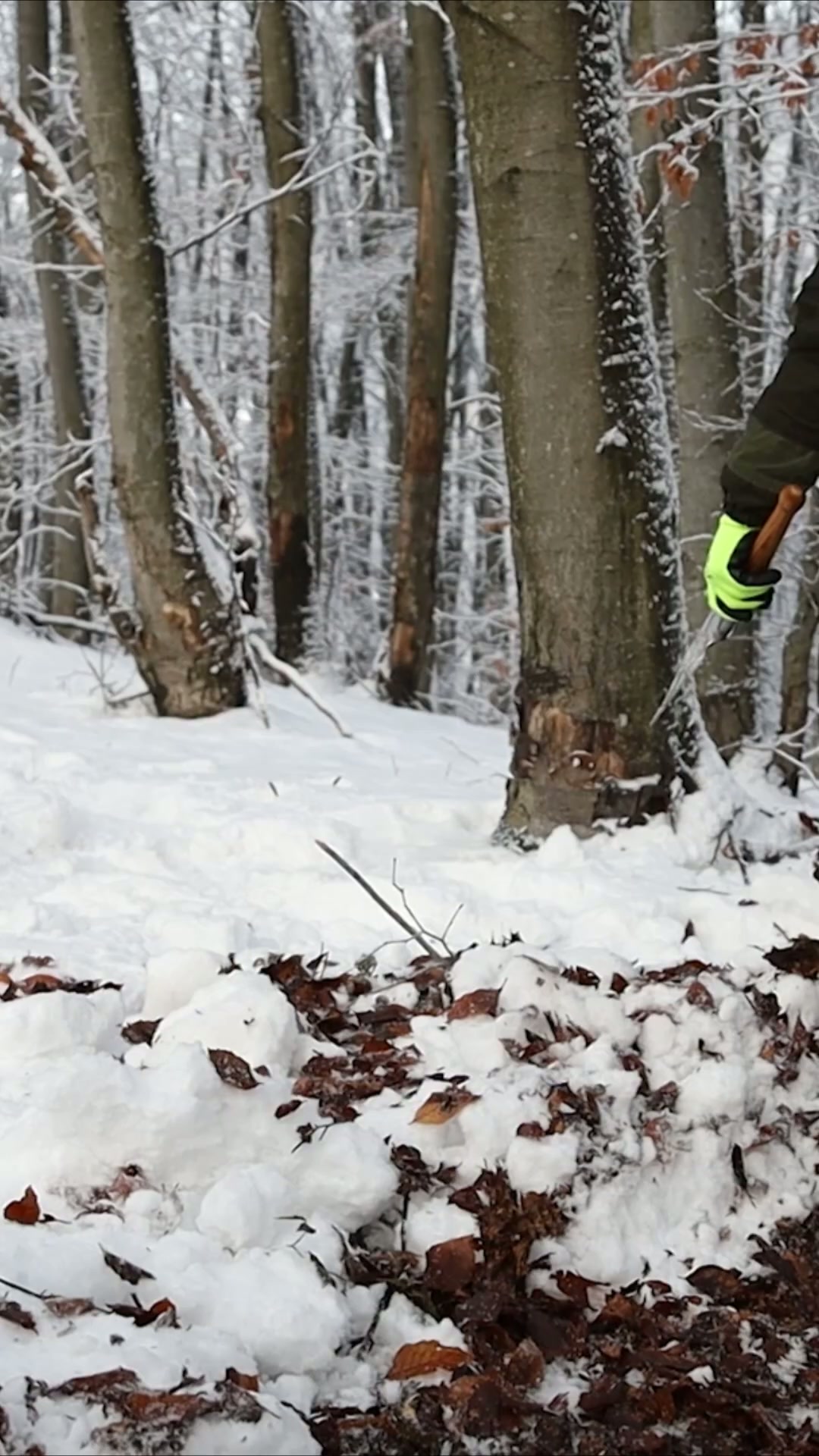 Bushcraft solo #camping #bushcraft #survival #building part 5