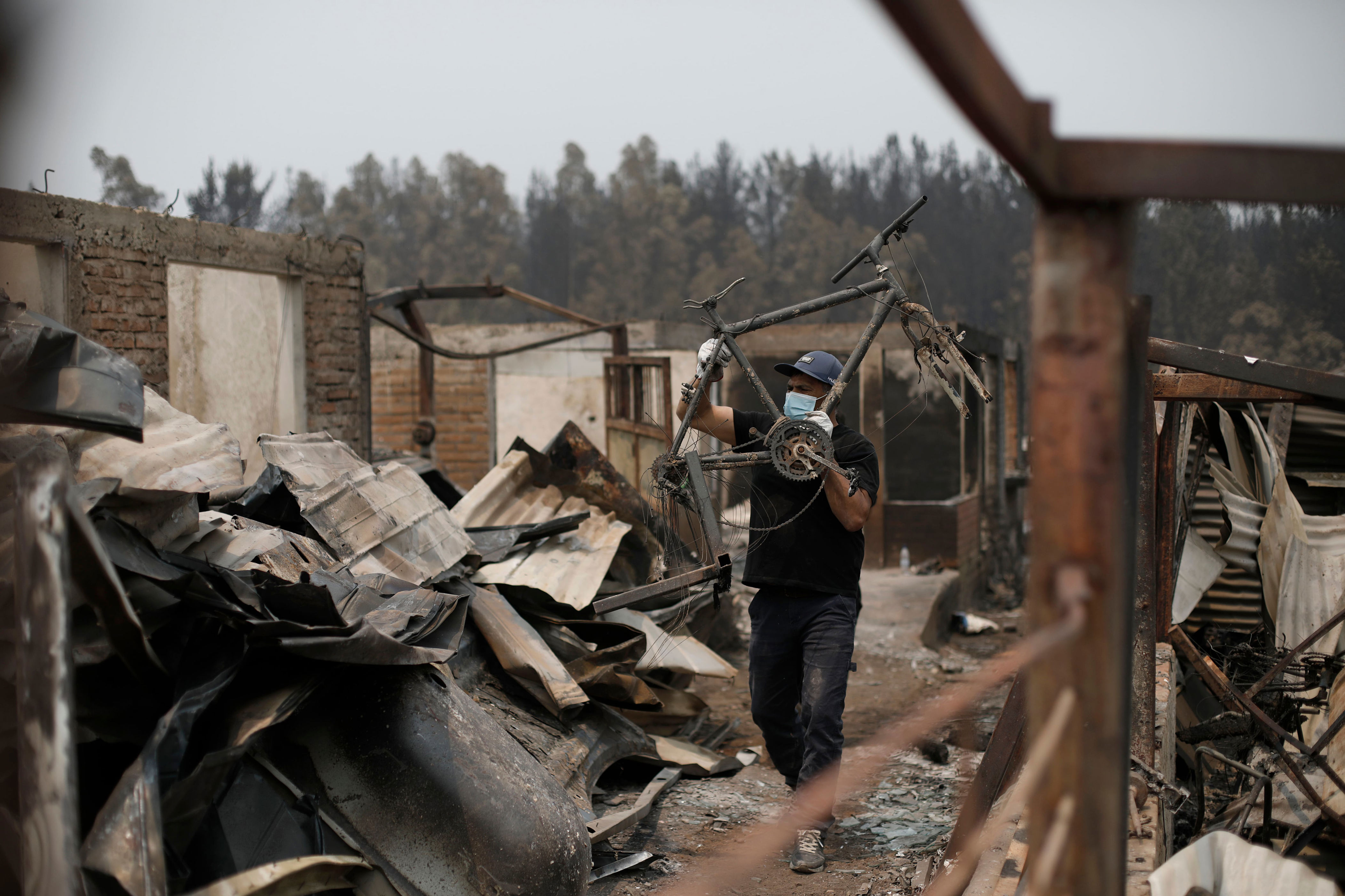 Ministra Toro anuncia que han aplicado más de 2.600 fichas FIBE a ...