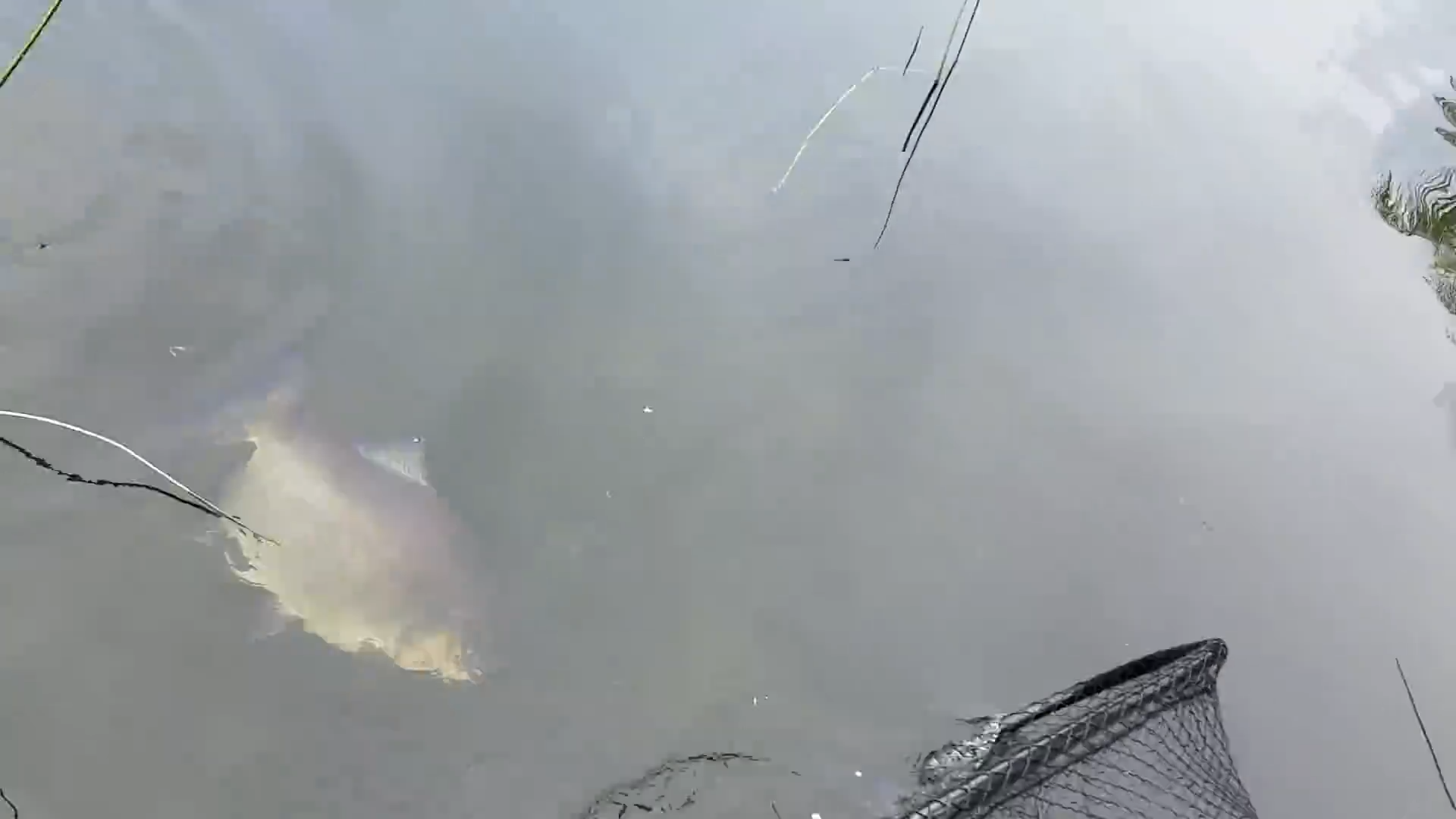 We only get one chance – what happens when mistakes can’t be fixed