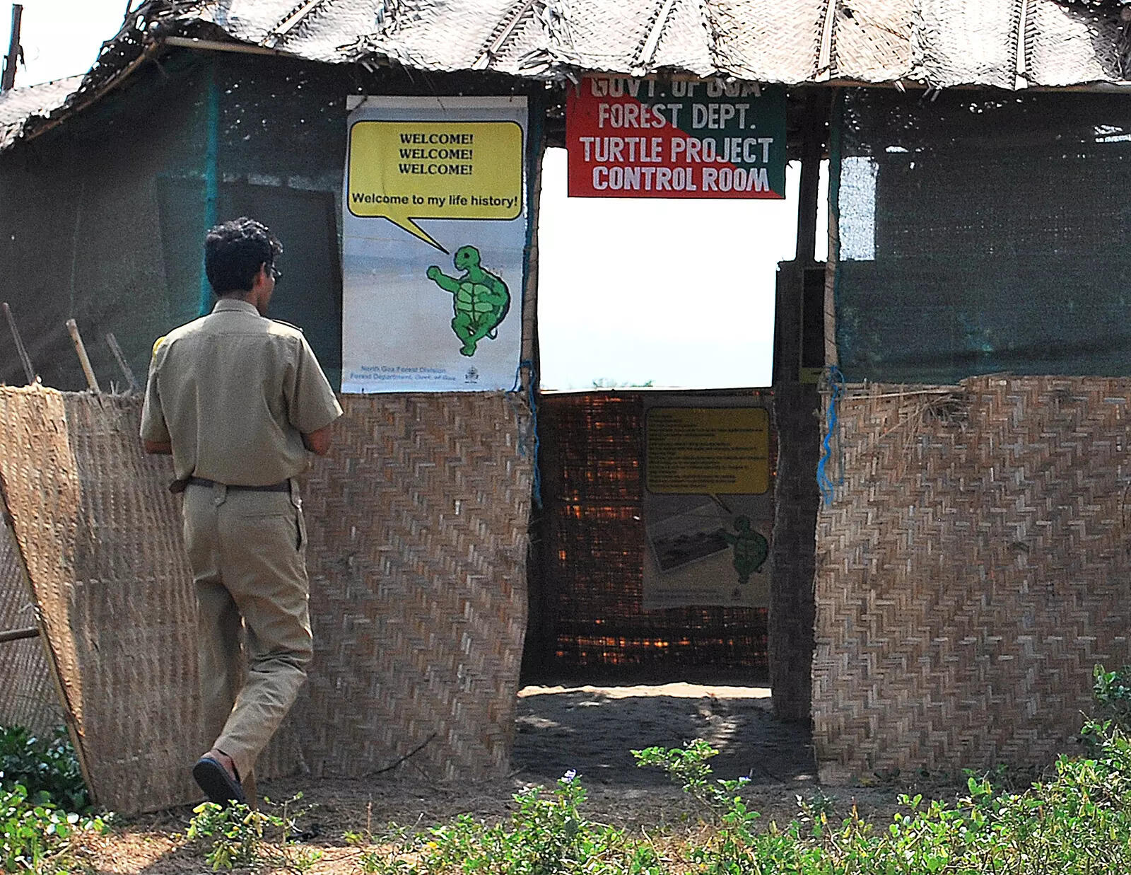 1.5k olive ridley eggs to be incubated at Agonda, Galgibaga