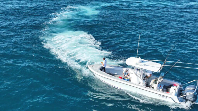 12-foot great white shark is patrolling shores of a major tourist ...