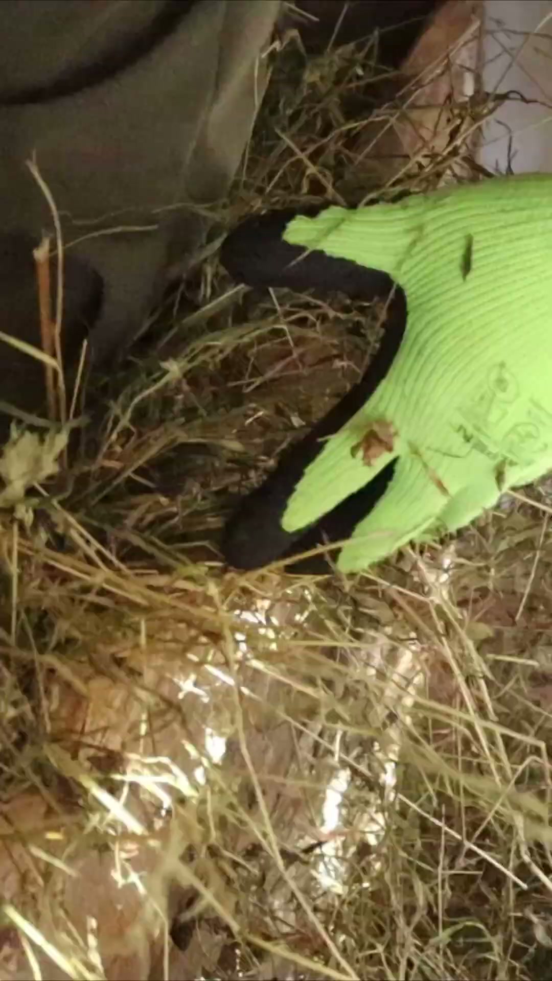 Bushcraft solo #camping #bushcraft #survival #building part 6