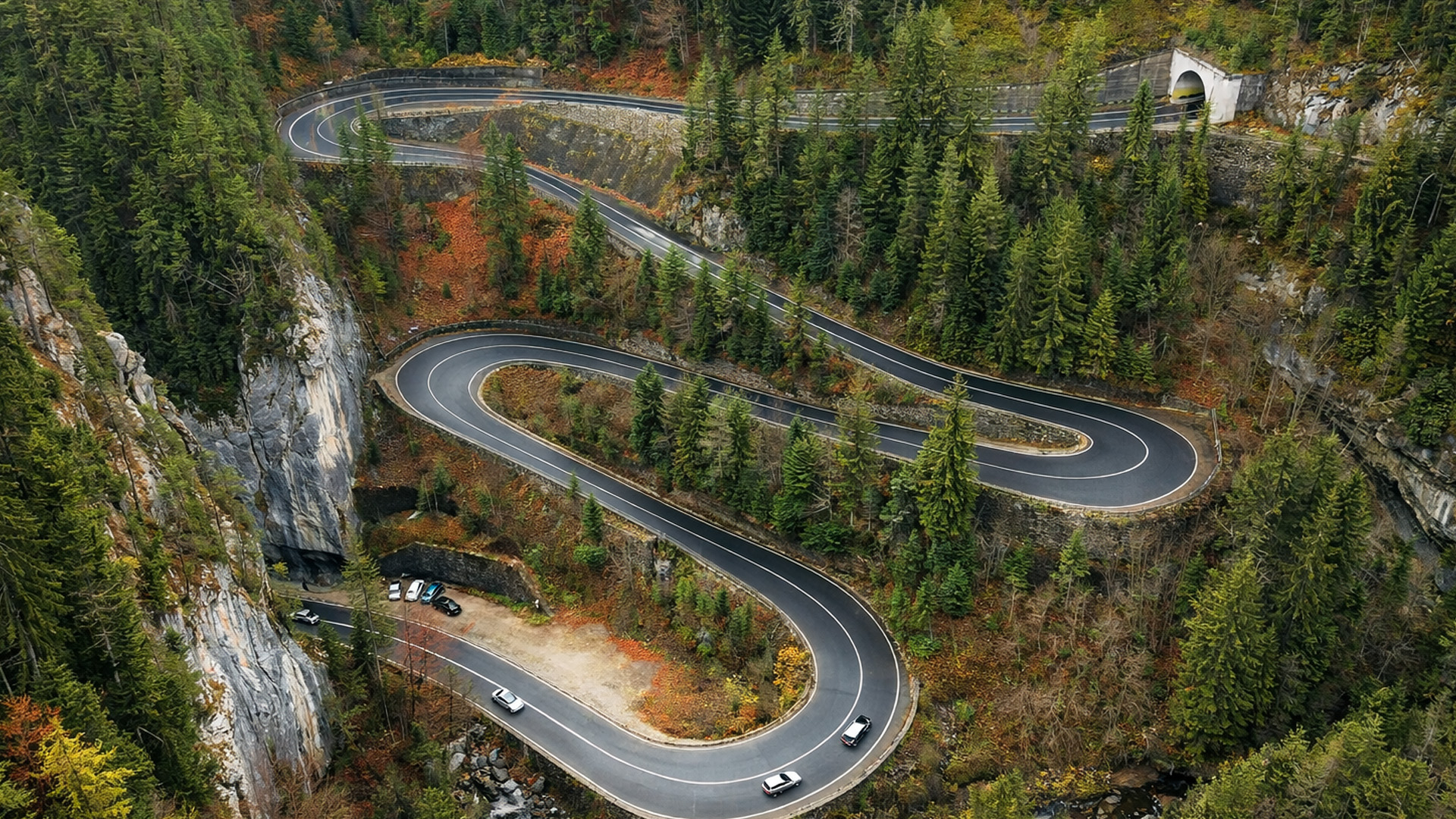 The forest road with no room for error