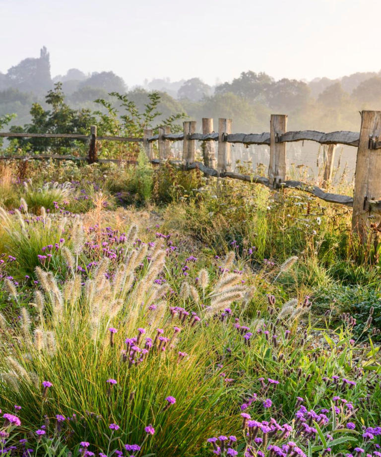 From January to December, every birth month flower has meaning ...