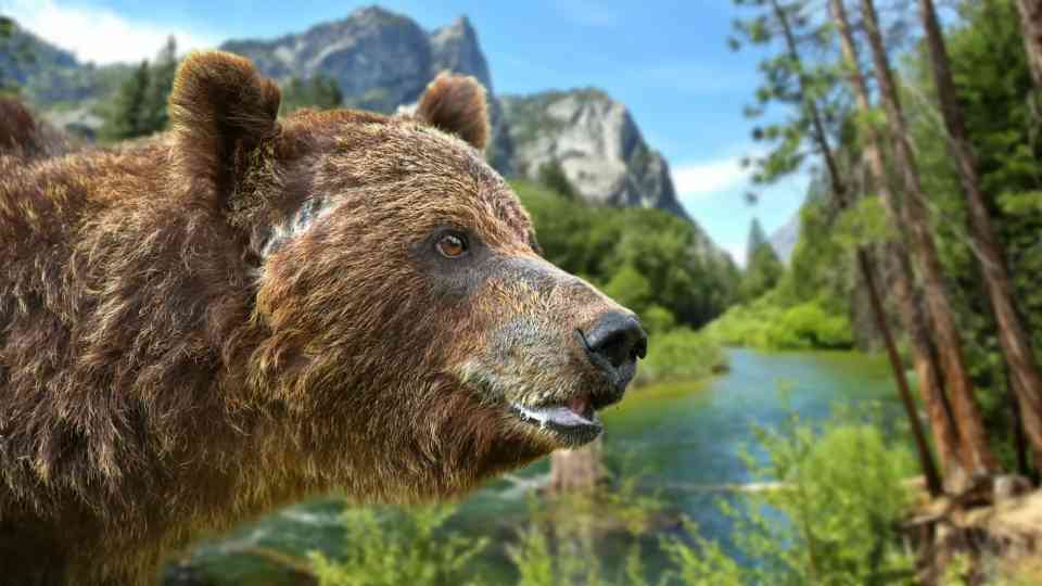 Where crossing paths with a bear carries the highest risk