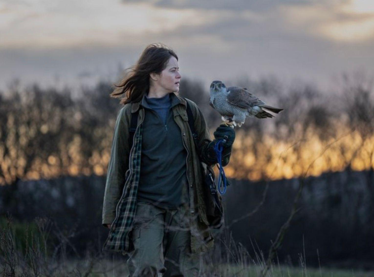 Film reviews: AI judge gives Chris Pratt’s boozy cop 90 minutes to save ...