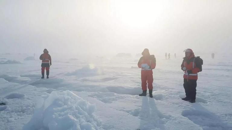 Why Antarctica is known as the 'continent of science'