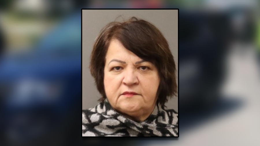 Gates woman accused of stealing $140K from victim’s home, investment ...