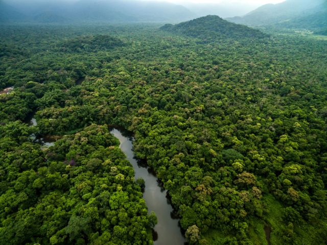 Near-extinct species rediscovered for first time in 200 years: 'Nature ...