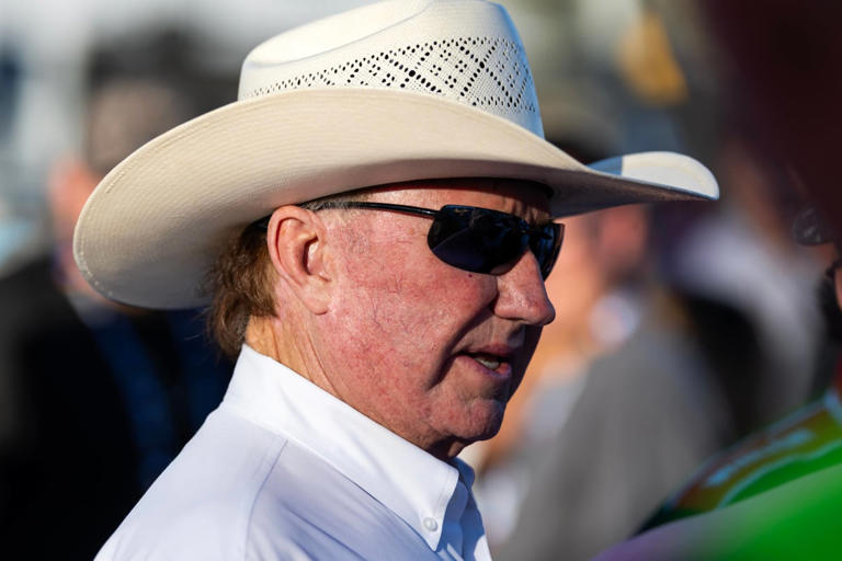 NASCAR owner Richard Childress shares legal update after 'insensitive ...