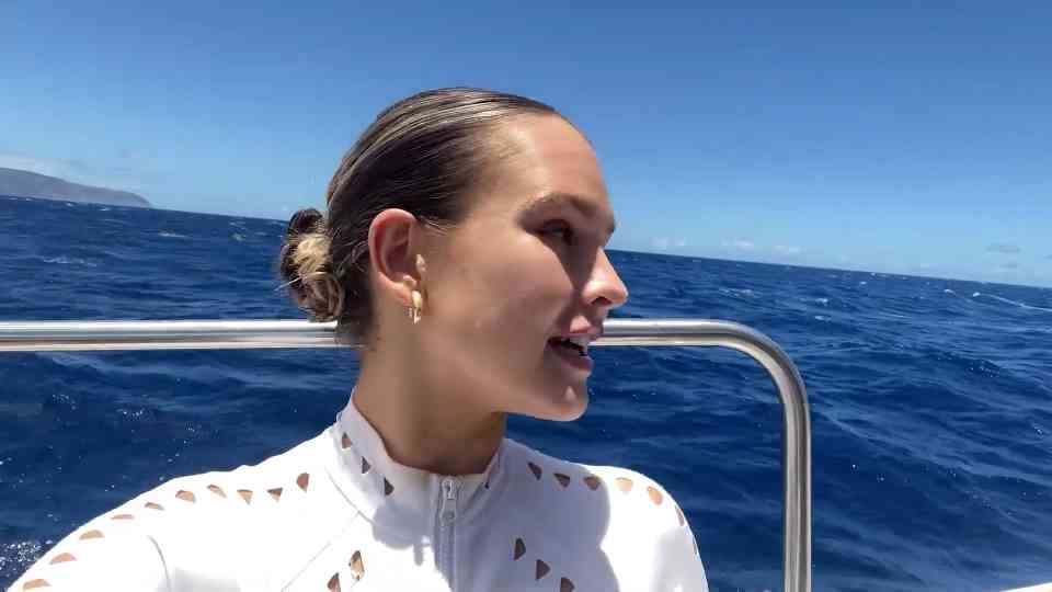 Swimming safely with sharks in open water