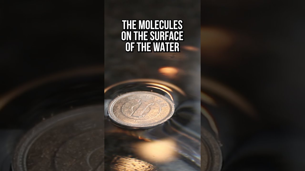 Why some coins float instead of sinking in water