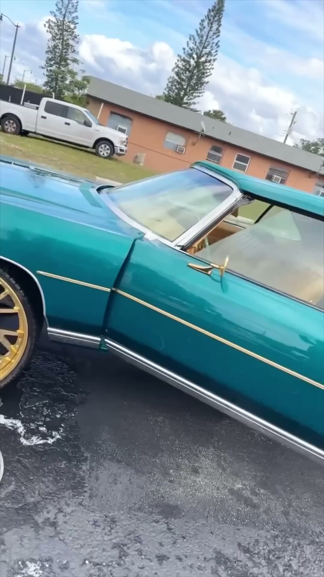 71 Chevy vert on gold 28’s Forgiatos