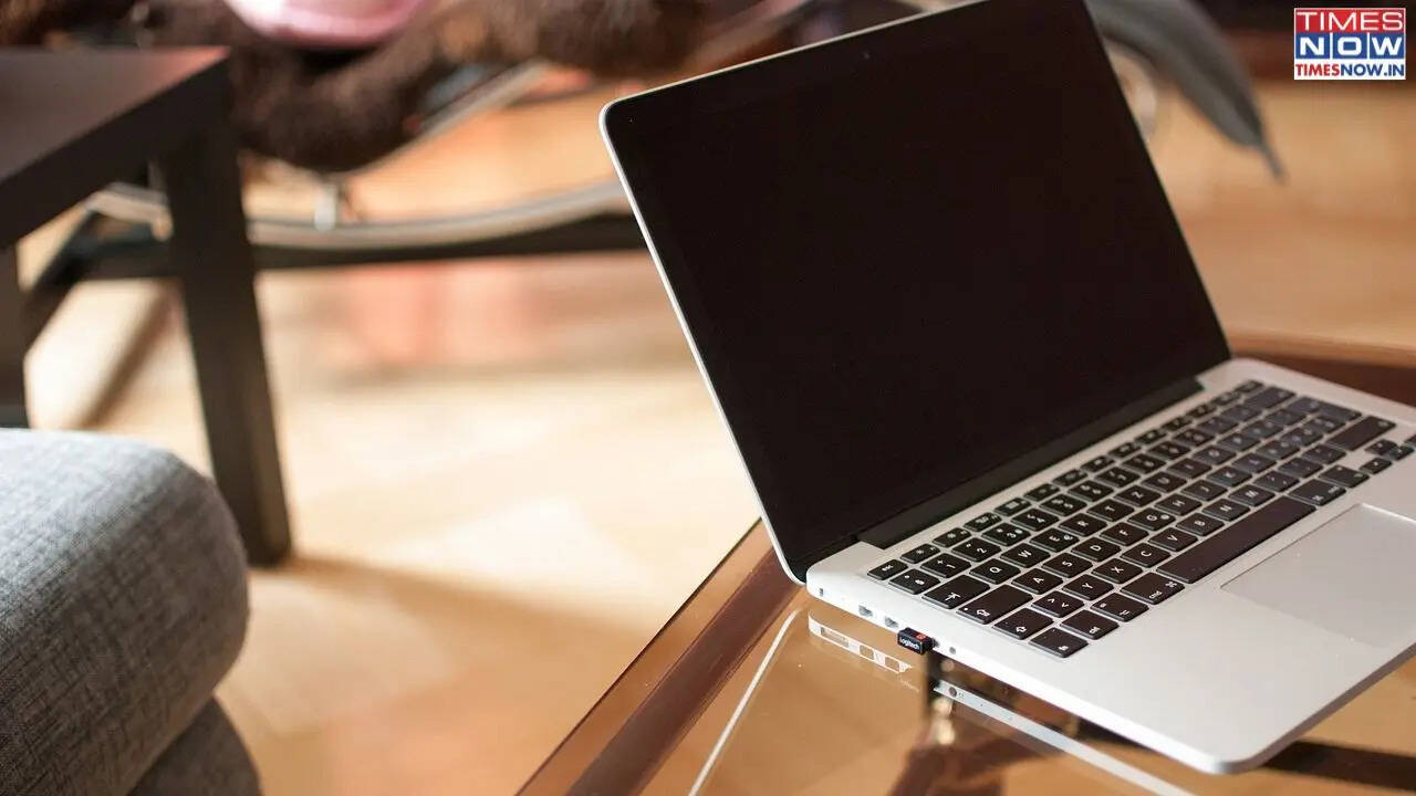 CTET February 2026 city slips released at ctet.nic.in; check steps to ...