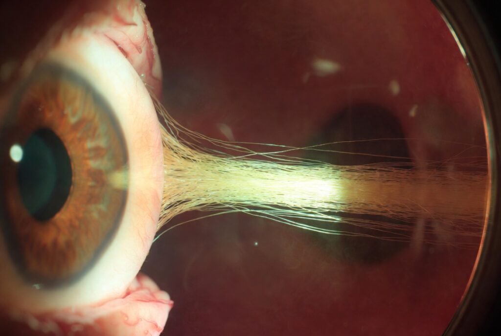 Scientists think they’ve discovered how humans could recover lost vision