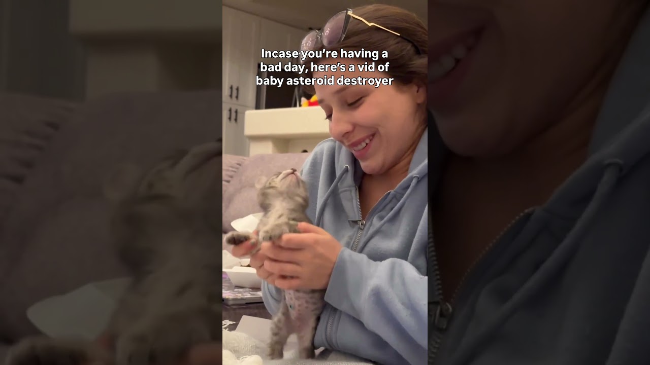 Watch this kitten brighten your day
