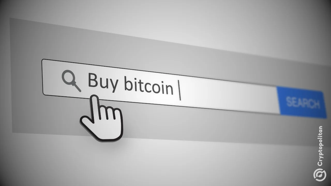 Russian search engine Yandex reveals the top queries of crypto users