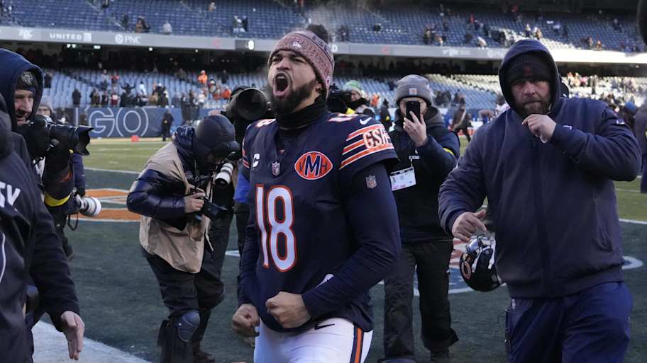 Illinois Staging 'Tazmanian Devil' Rally to Keep Bears From Moving to ...