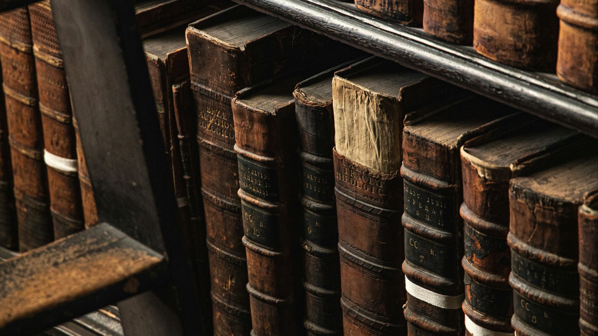 Newbie to history? Here are 20 authors you should check out