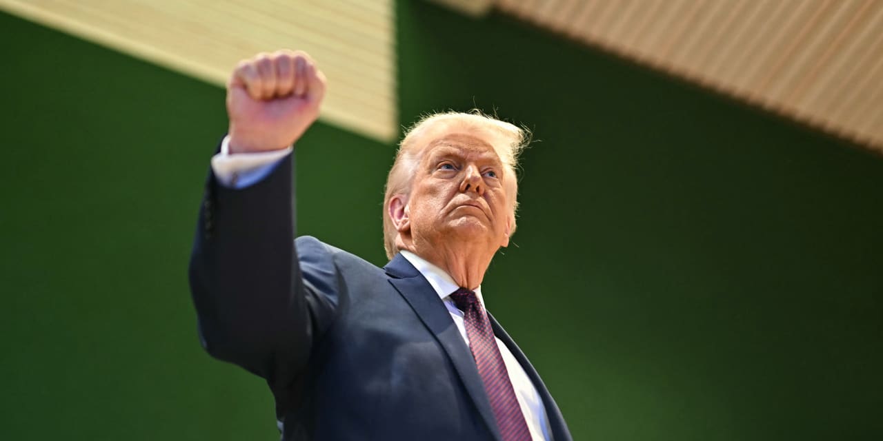 The case for a US bear market was building even before Trump ...