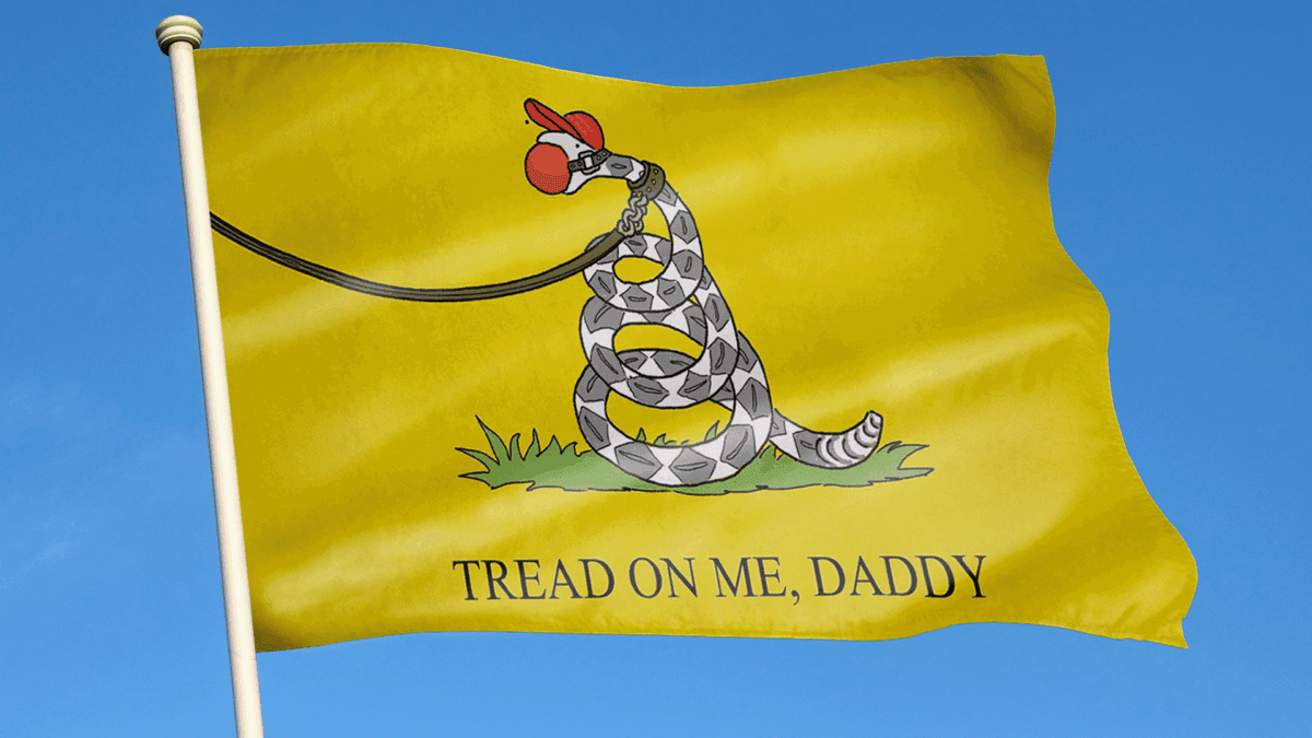 Where have the 'Don't Tread on Me' Republicans gone?
