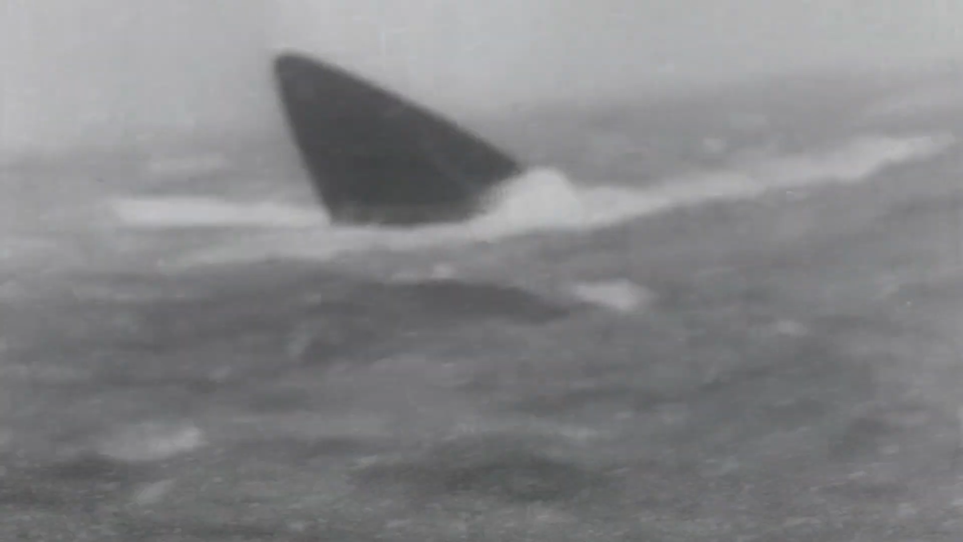 How disobeying orders saved lives during the Great Lakes storm