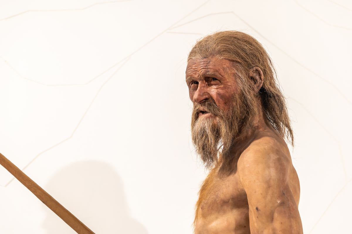 DNA from Ötzi the Iceman reveals he had a 5,300-year-old case of cancer ...