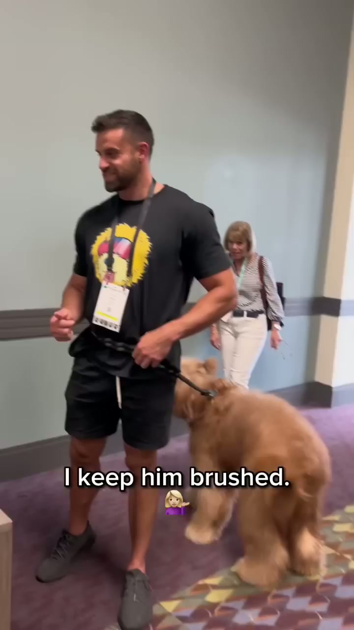 Karen tells me to cut my dog’s hair #goldendoodle #grooming #reaction