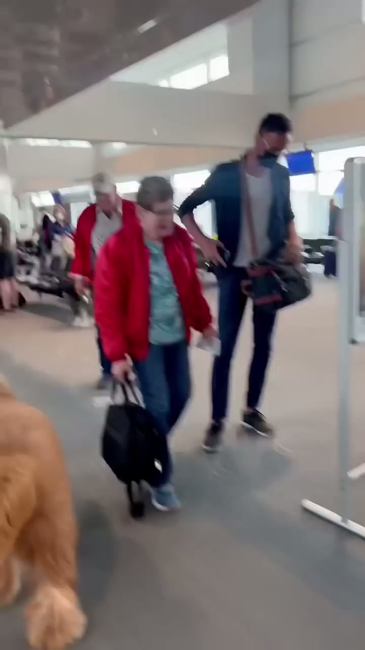 Look how many people my dog can make smile! #goldendoodle #dogdad #reaction