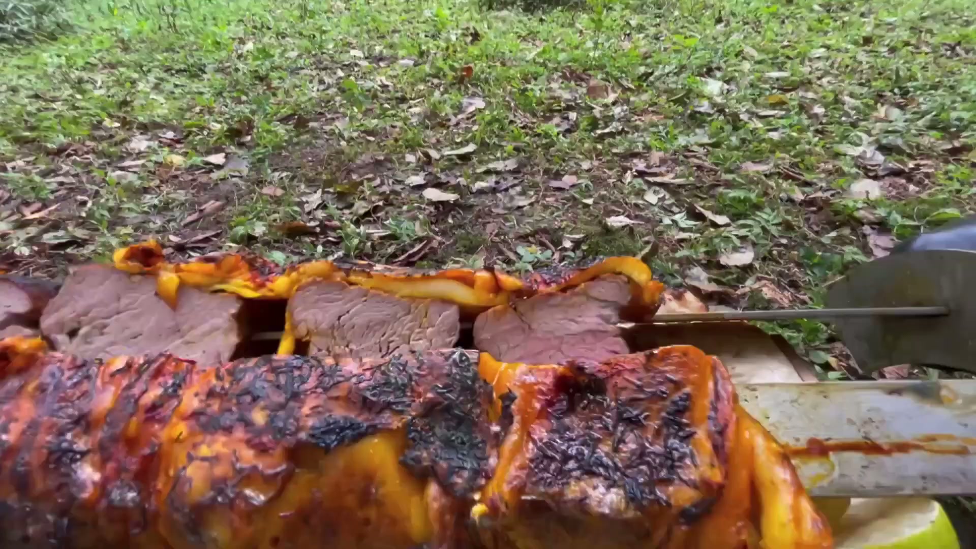 Wild forest kebab adventure!