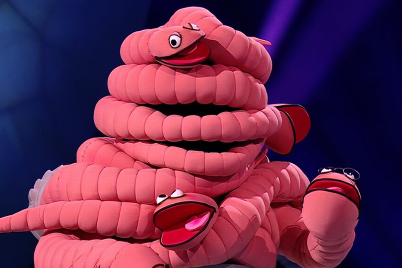 The Masked Singer fans 'unveil' Can of Worms' identity and they're a ...