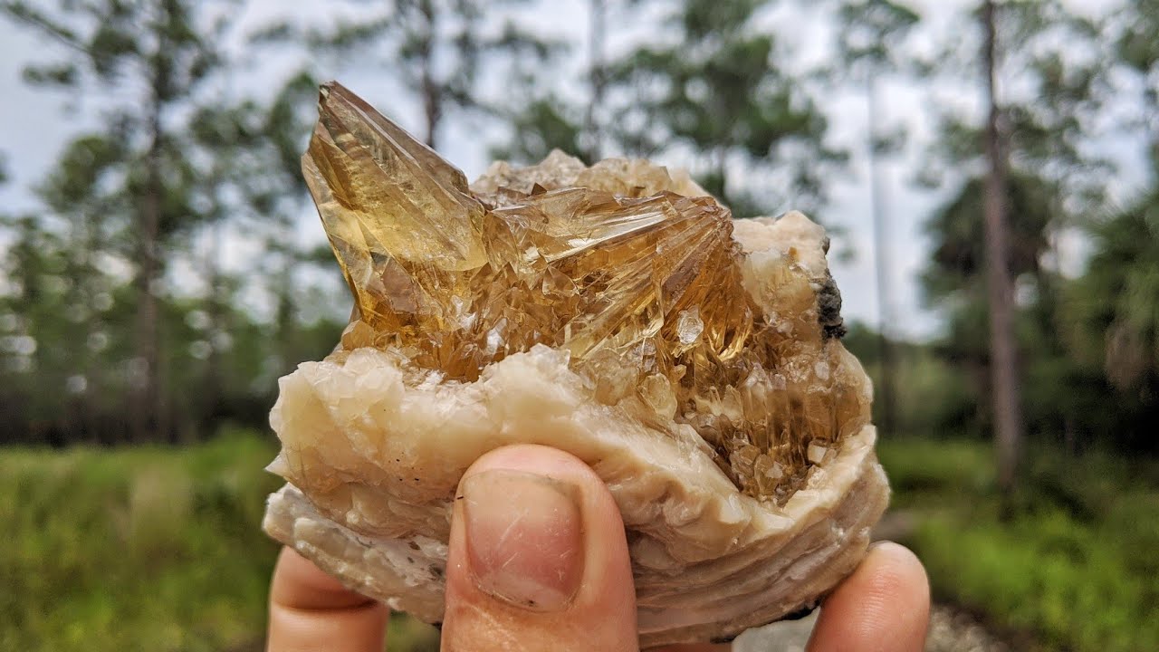 Florida isn’t known for crystals until you find calcite in fossil clams