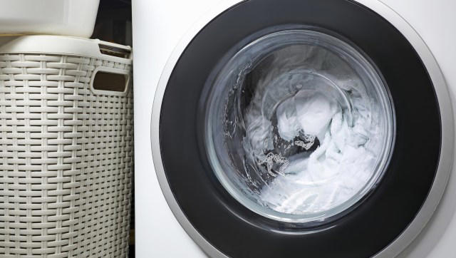 Researchers search for solution to harmful threat lurking in household ...