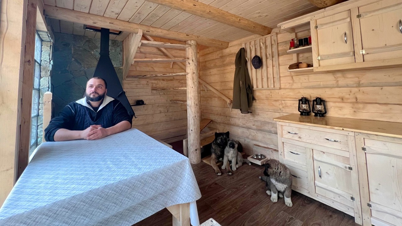 DIY forest hideaway that will blow your mind!